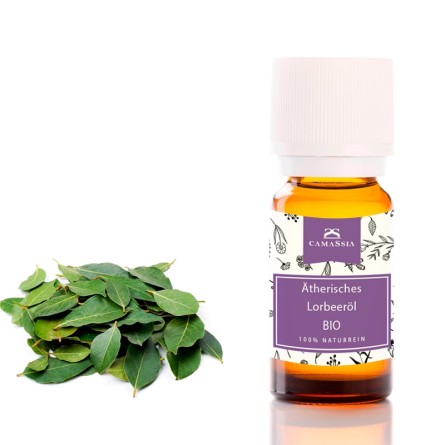 Ätherisches-Lorbeeröl kaufen 100 % BIO naturrein